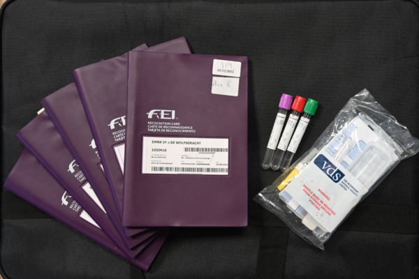 Pre-purchase Examinations at Surrey Hills Equine - Quality Vettings